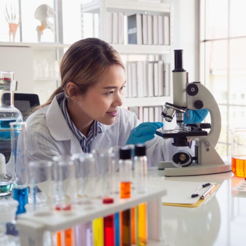 Faculty of Science and Technology - SCI-TU